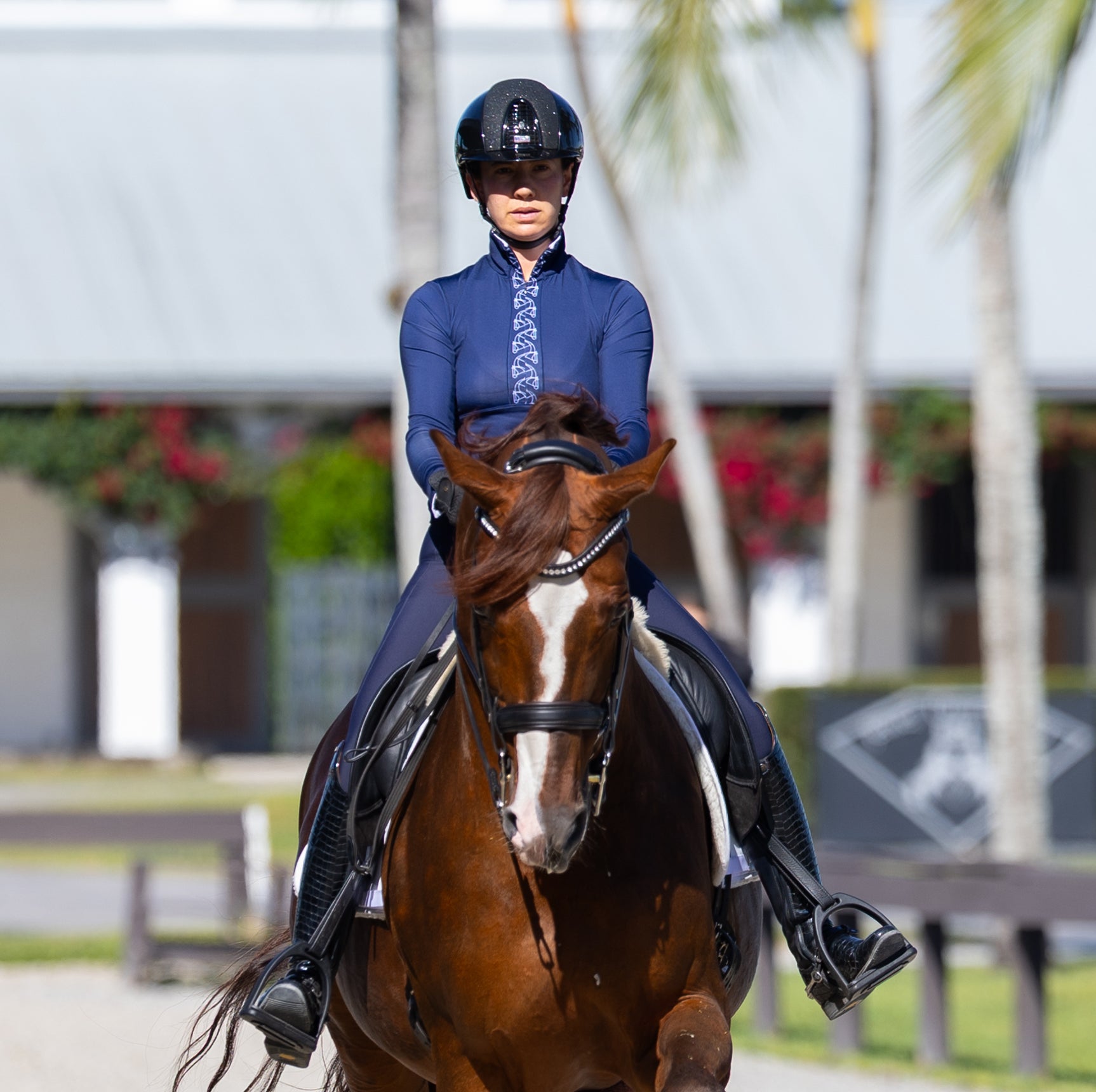 Inspiring Equestrian Quotes – UNIQCORN EXCEPTIONNEL