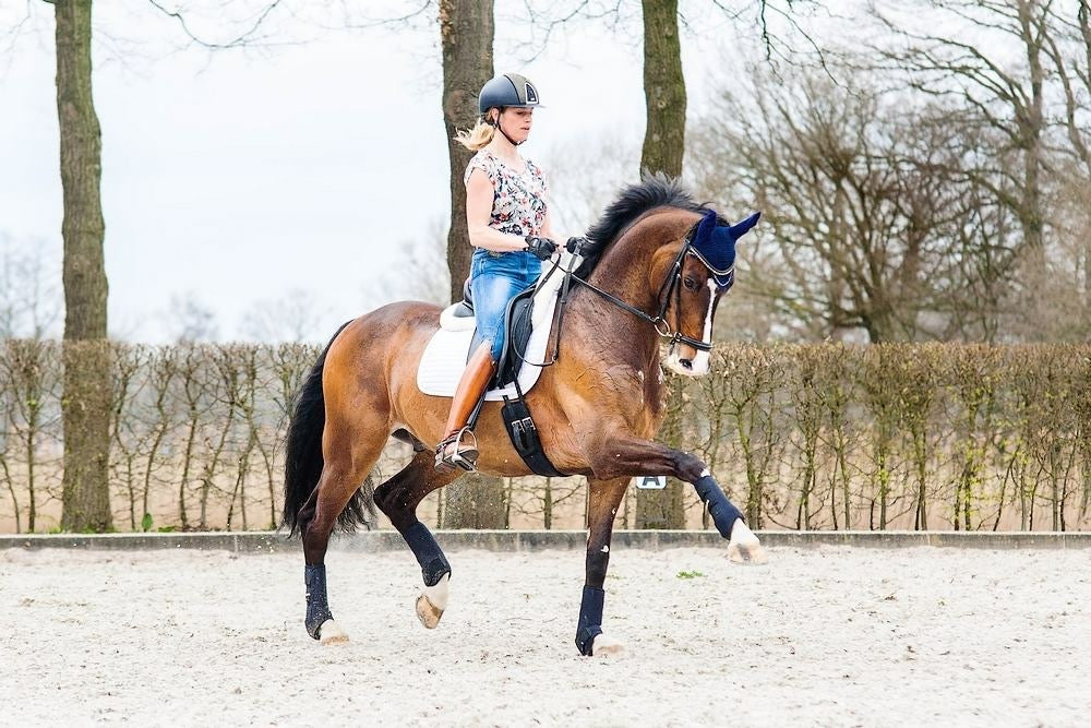 Meet Uniqcorn Exceptionnel Team Rider Janneke Punte - Netherlands